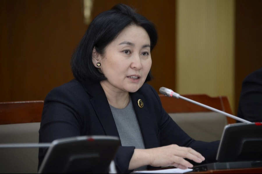 Хөгжлийн банкны гүйцэтгэх захирлаар З Нарантуяаг томилжээ